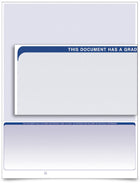 VersaCheck Form 1002 Graduated Blue - 20000 Sheets